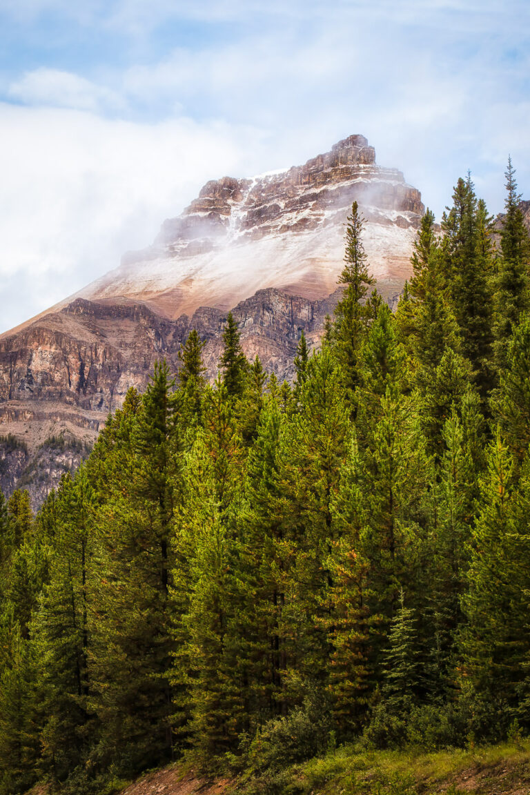 Icefields Majesty - Alys Williams Fine Art