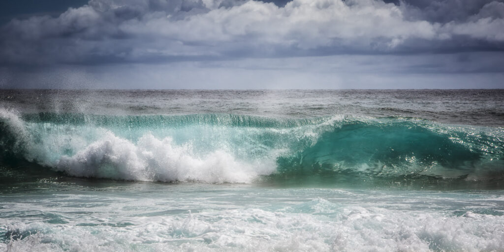 Ocean Pulse - Alys Williams Fine Art